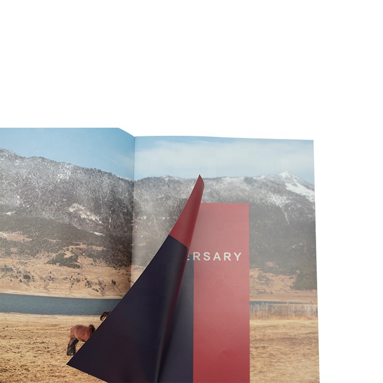 Impression Magazine Decorative Color Books | Book Printing Services