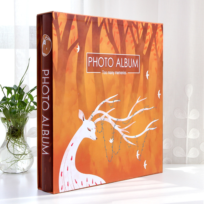 Plastic Enclosed Insert Photo Album | book printing services